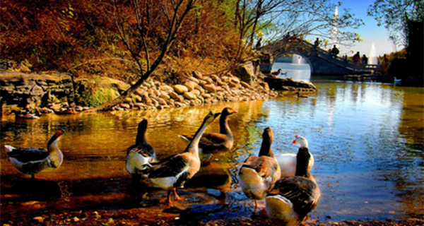 The Best Forest Parks to Travel on Weekends in Beijing (1)