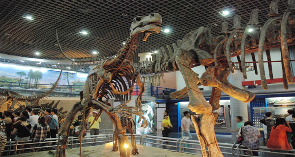 Interesting Museums in Beijing