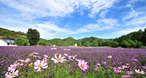 Lost in Miyun Renjian Huahai