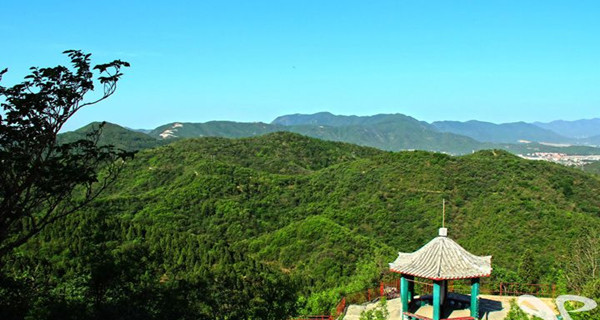 Experience the Spring in Baiwang Mountain Forest Park