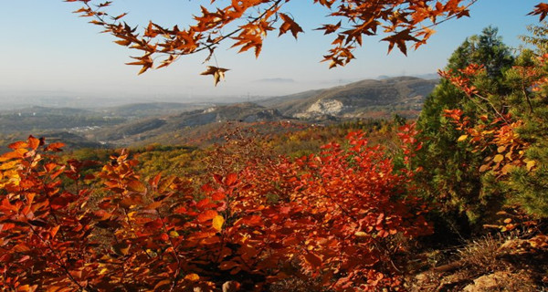 Embrace the Colorful Autumn at Beigong National Forest Park