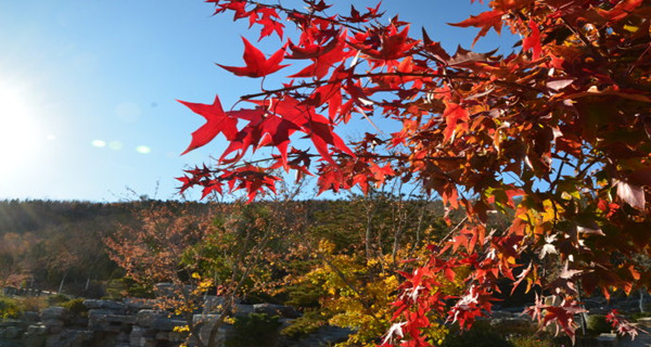 Embrace the Colorful Autumn at Beigong National Forest Park