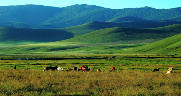 Top Grassland around Beijing You Can't Miss