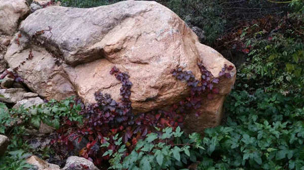 Ziyun Mountain Scenic Spot