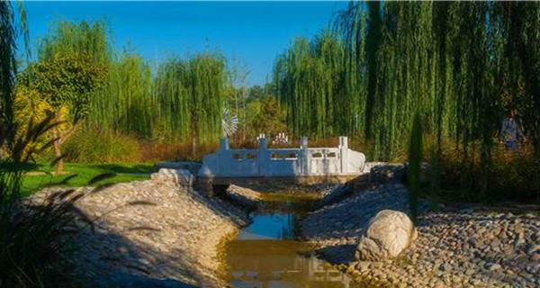 Stroll in Lucheng Center Park to Enjoy Leisure Time