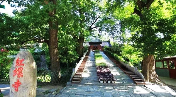 Golden Autumn in Hongluo Temple