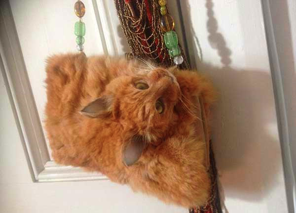 Taxidermy Cat Handbag Sells at Auction in New Zealand 新西兰拍卖猫标本手袋惹争议
