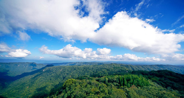 Yinhe Valley Forest Park