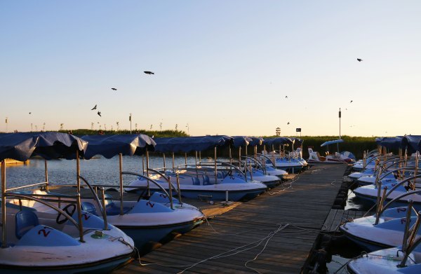See the Sunset at Caofeidian Wetland