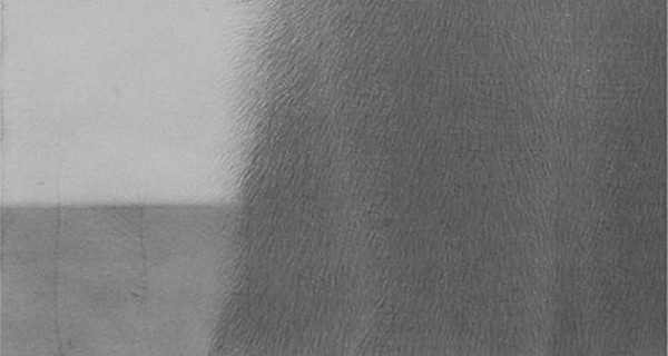 Shao Fan: Big Rabbit+