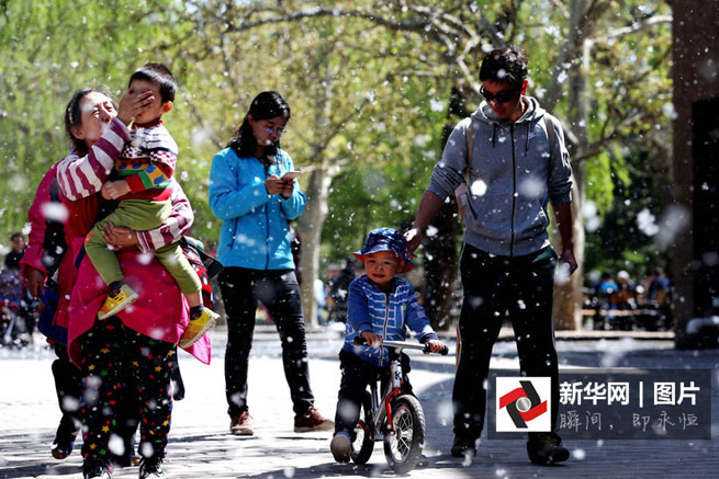Pollen-Alarm in Beijing