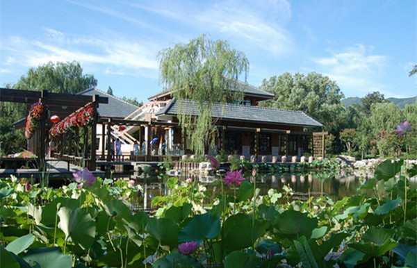 Beijing Botanical Garden in Amazing Spring Pictures